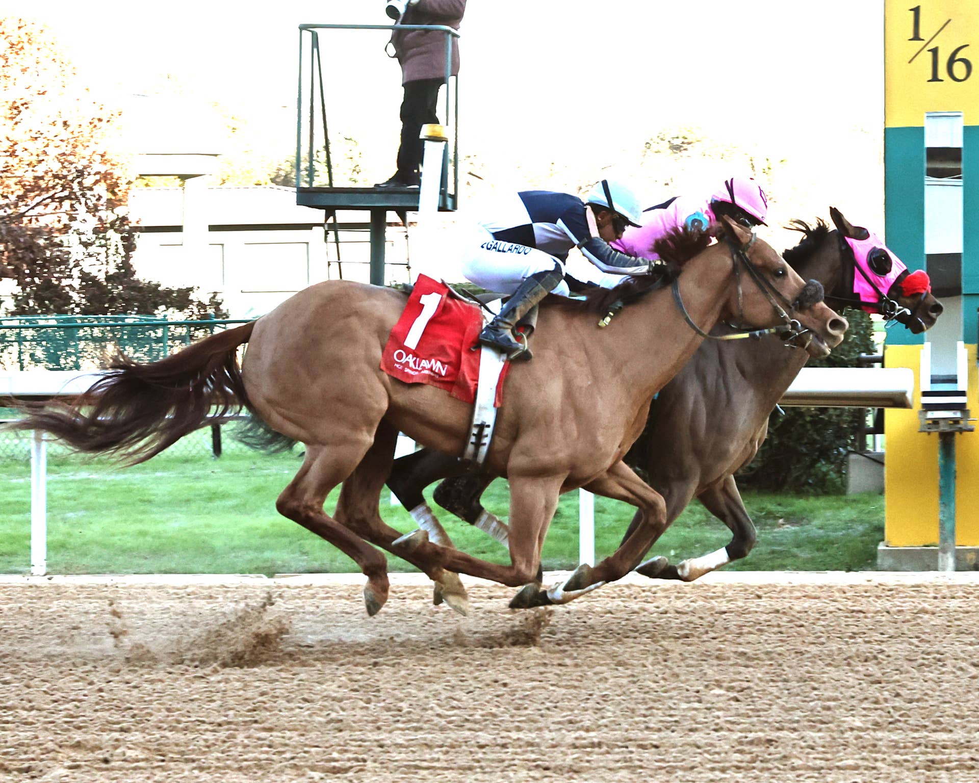 Former Jockey Sarah Shaffer Trains First Winner At Oaklawn Park ...