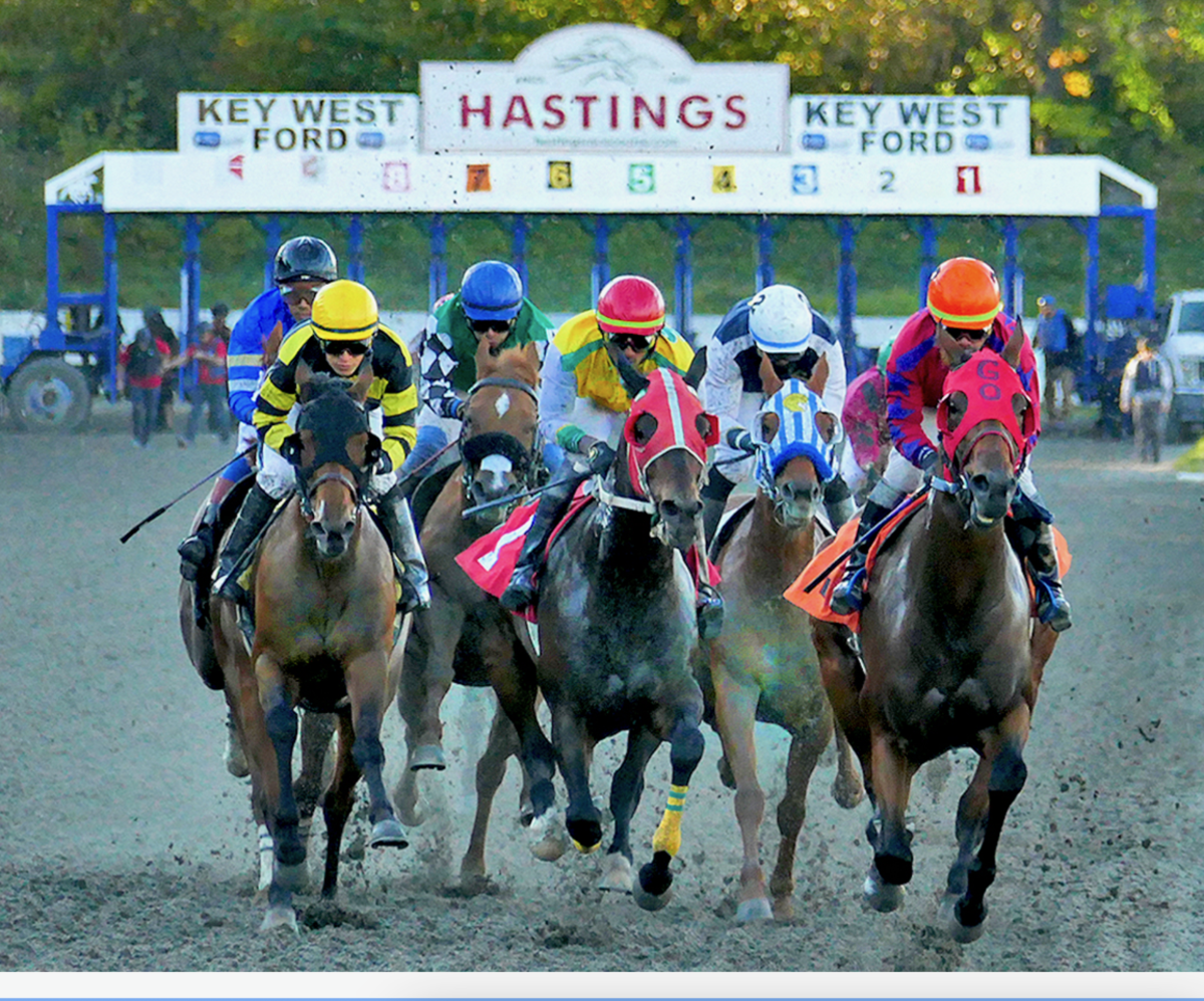 Sale Of Hastings Racecourse Approved In Principal To Tsleil-Waututh ...