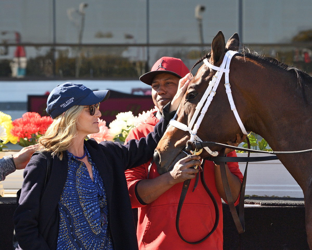 'So Lucky': First Foal Out Of Champion Covfefe, Ellen Jay Scores Black ...