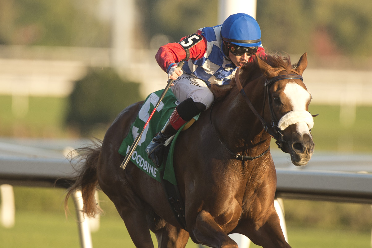 'As Genuine As They Come': Canadian Champ Dresden Row Returns In Durham ...