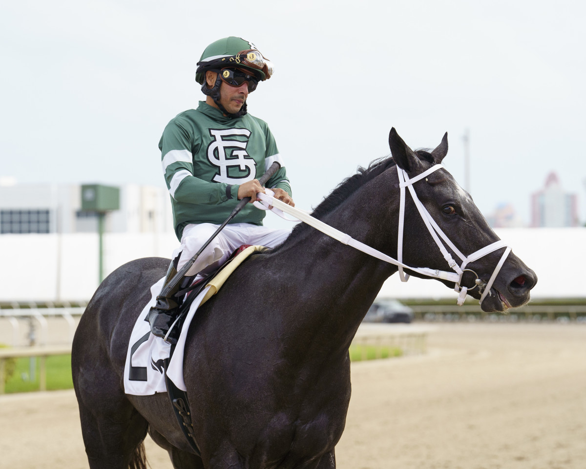 Undefeated Rated By Merit Steps Up To Two Turns In Final Leg Of Florida ...