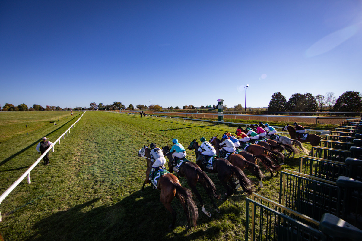 NTRA Commends Committee Passage Of Tax Bill Containing '100 Percent ...