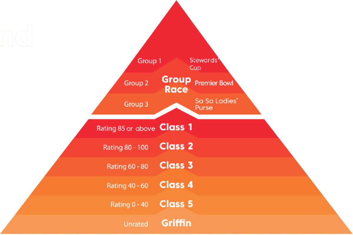 Hong Kong Racing Insights: A Deep Dive Into Class Five - Paulick Report ...