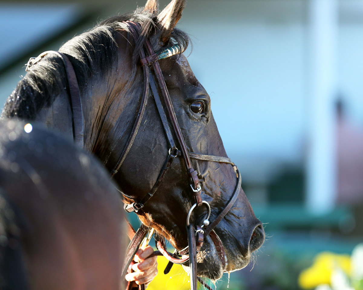 Bloodlines Presented By Walmac Farm: Sovereignty Has A Rich History In ...