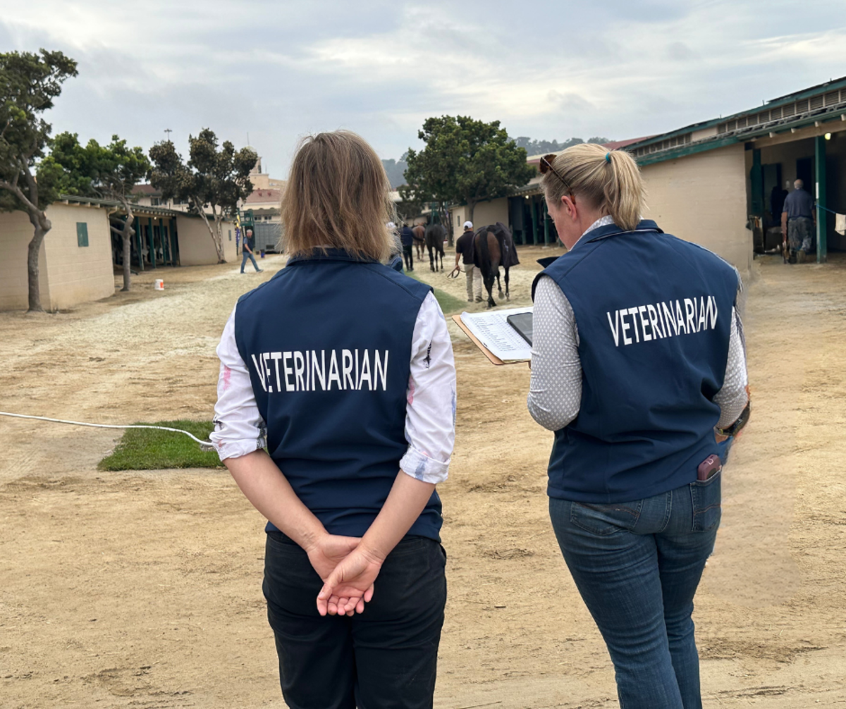 Dr. Jeff Blea: California's Regulatory Veterinary System Is Working ...