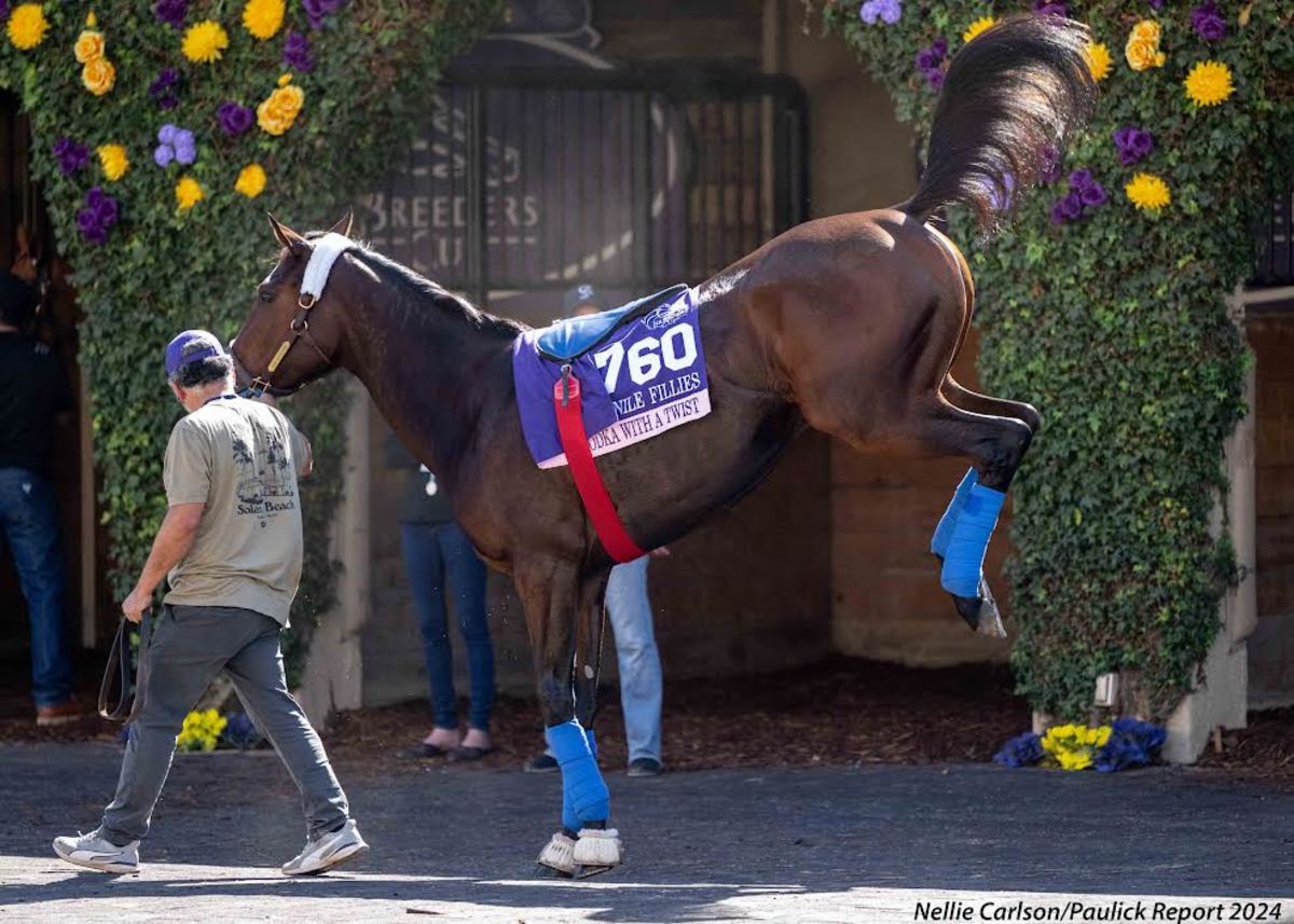 G1 Placed Vodka With A Twist Gets Back On Dirt In Audubon Oaks ...