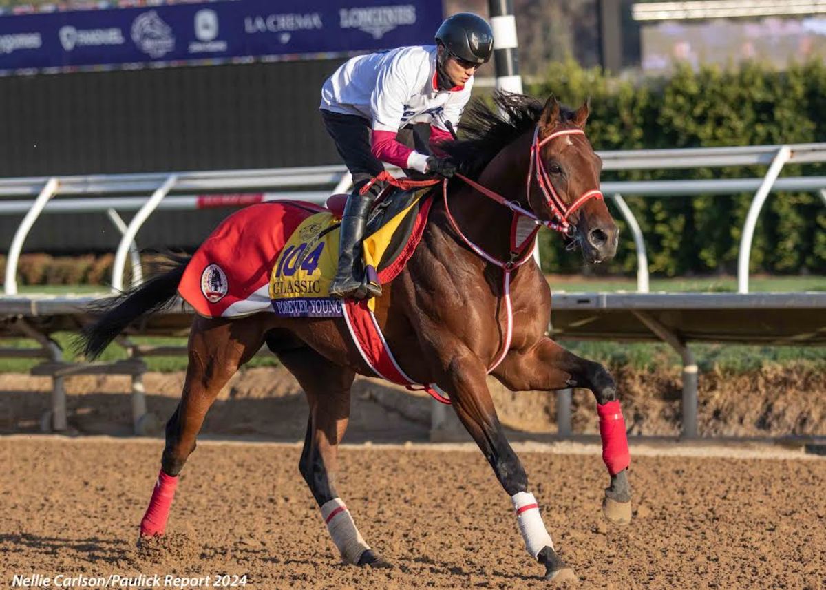 Kentucky Derby Third Forever Young Scores First Top-Level Win In Japan ...