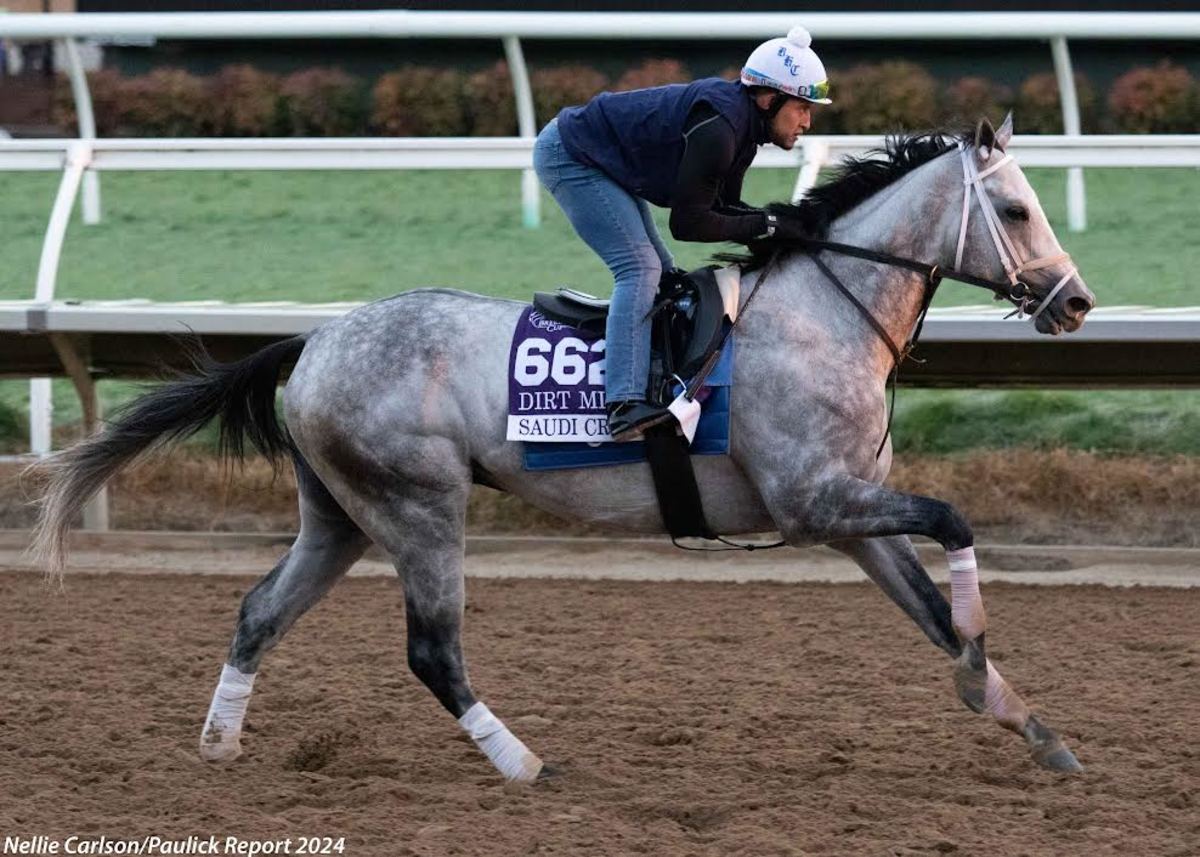 Saudi Crown Returns To Fair Grounds For Tenacious Stakes - Paulick ...