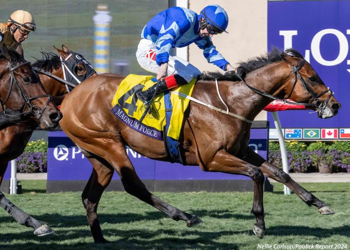 Colin Keane Could Cap 'Brilliant Year' In Hong Kong International ...