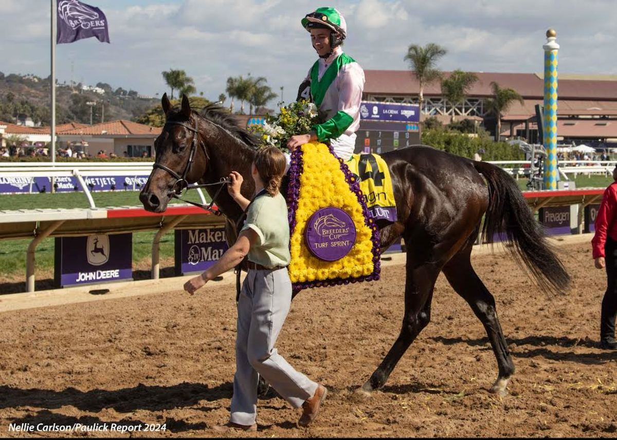 Breeders' Cup Winner Starlust Bids For Hong Kong Sprint Glory - Paulick ...