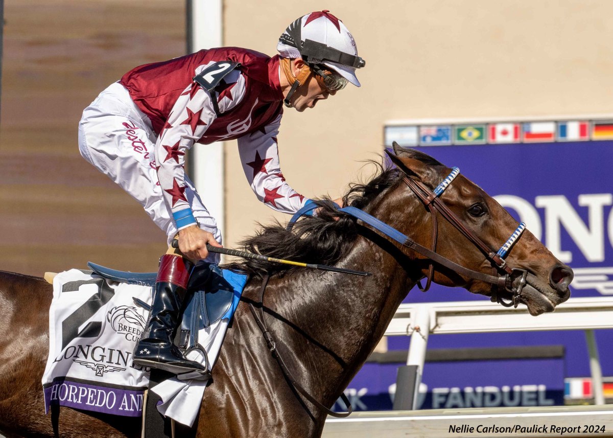 'She's A Once-In-A-Lifetime': Thorpedo Anna Caps Massive Year With ...