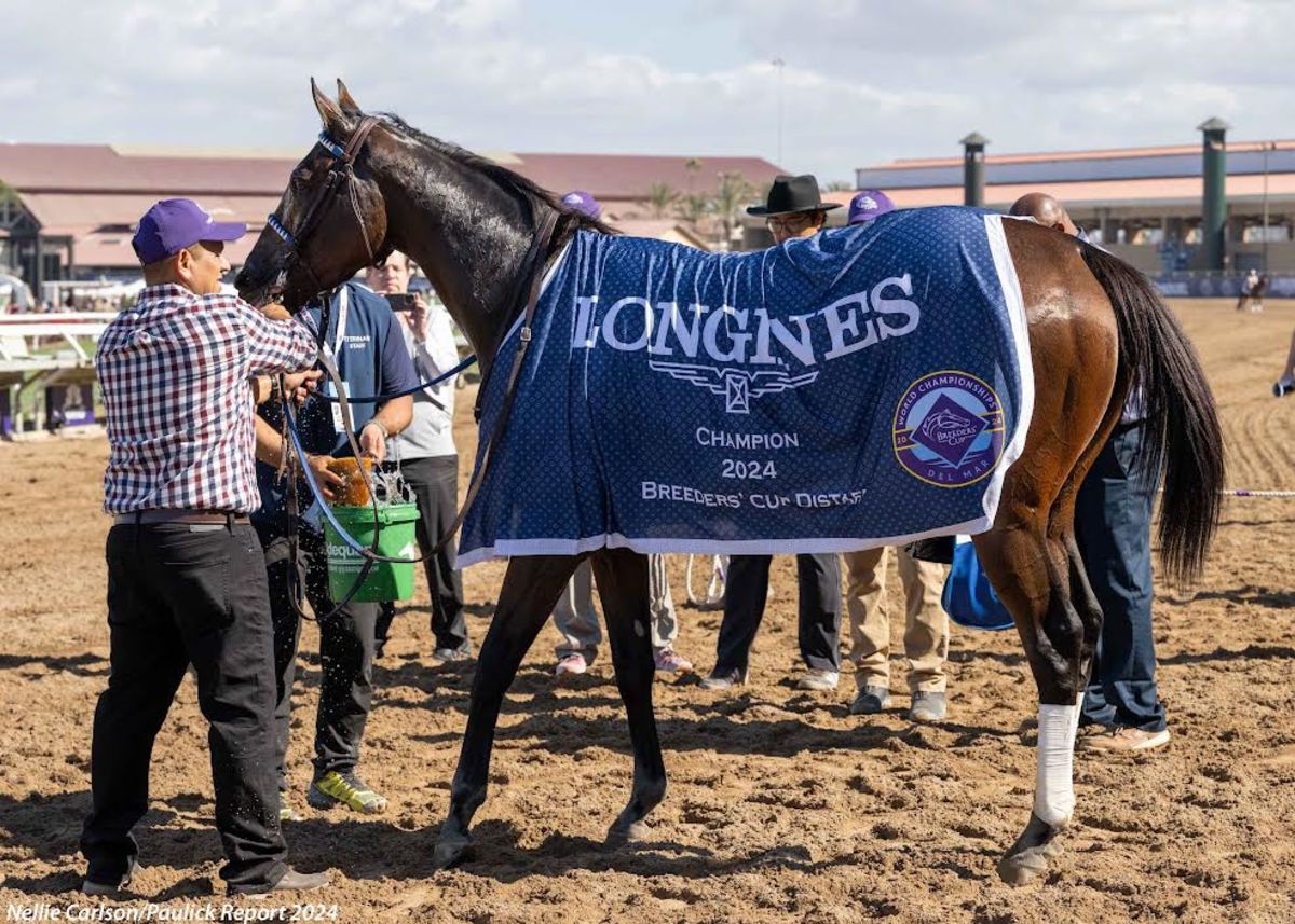 Thorpedo Anna 'Bouncing Out Of Her Skin Already,' Could Target March 8 ...