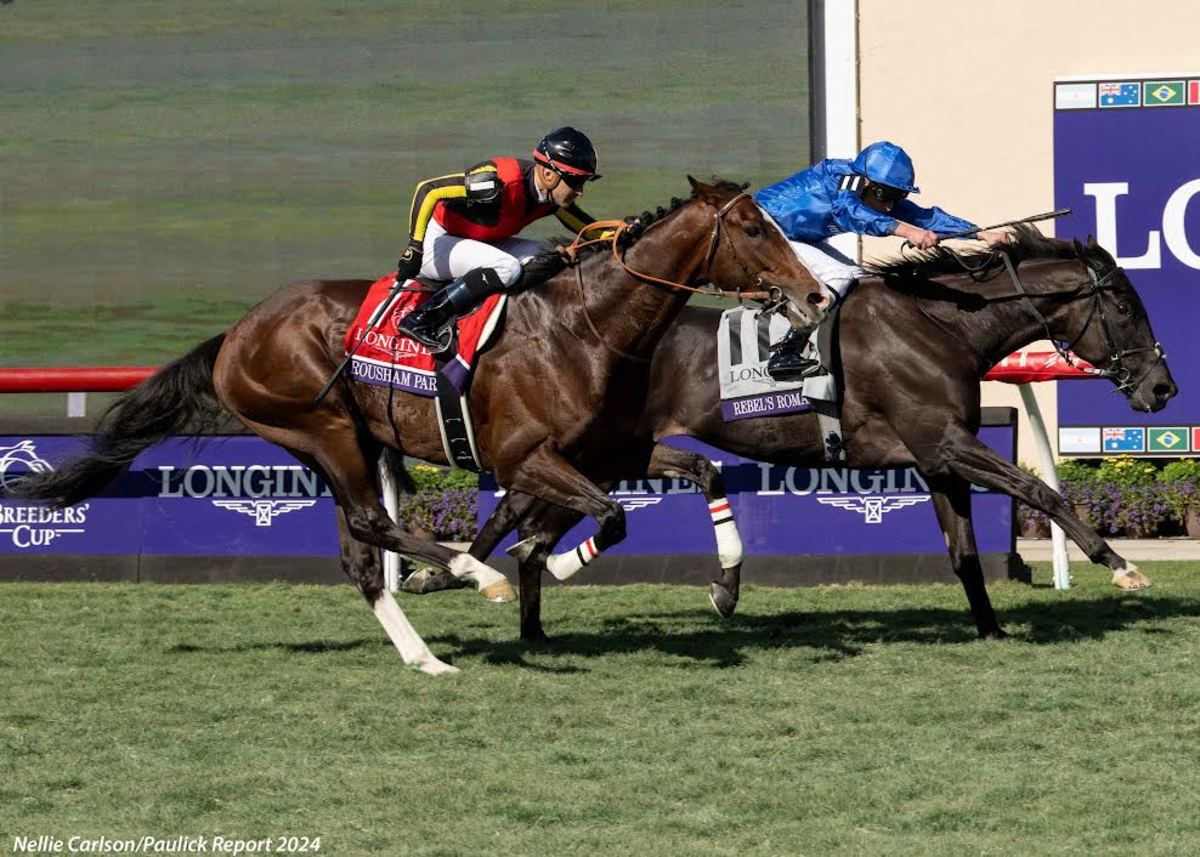 ‘As Good As Ever’: Champion Rebel’s Romance Back Stateside For Joe ...