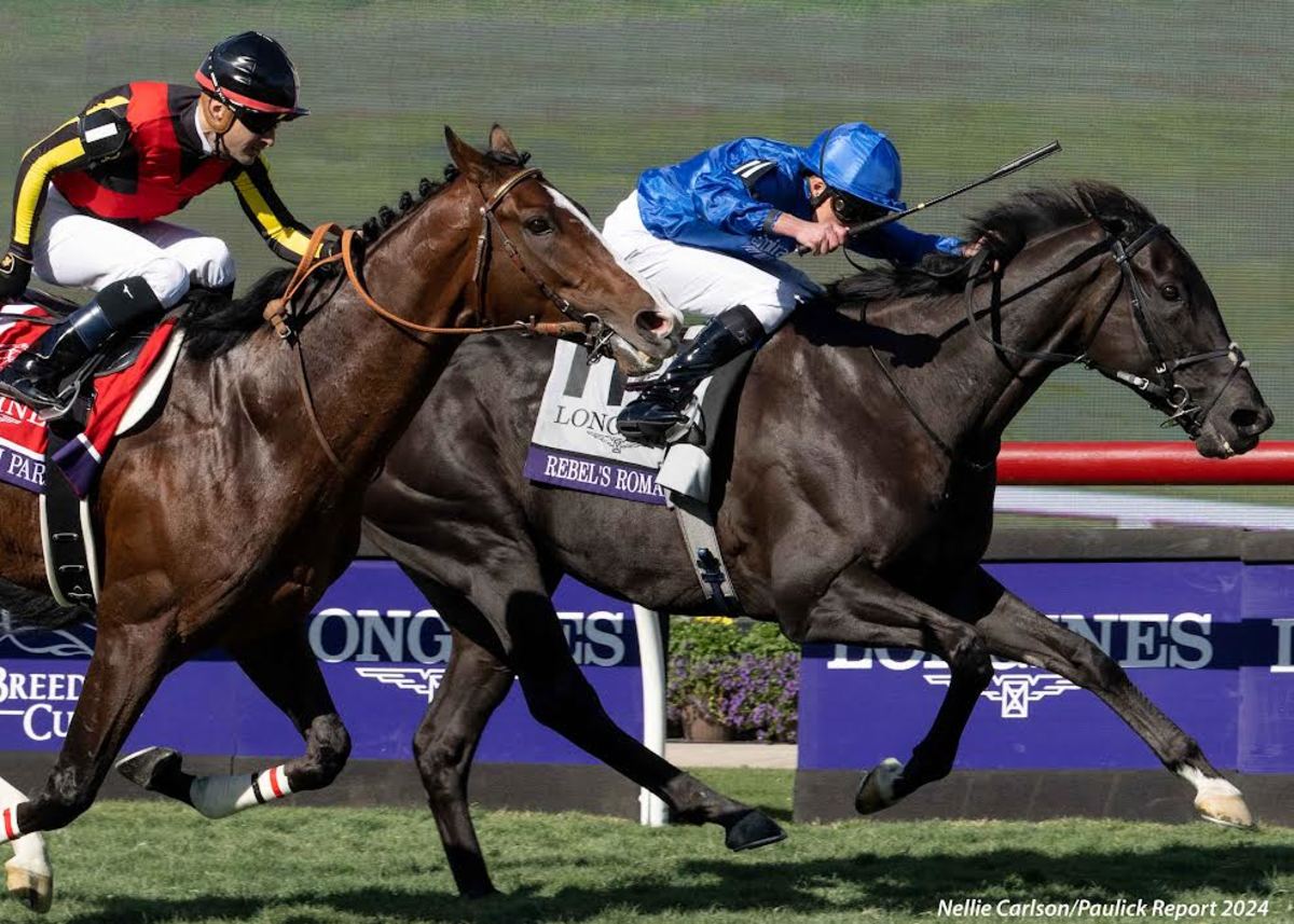 Rebel's Romance Continues Global Conquest In Breeders' Cup Turf, Jayarbe Suffers Fatal Collapse ...