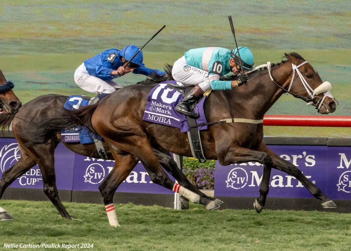 'These Are The Things You Dream About As A Kid': Moira's Third Try The ...