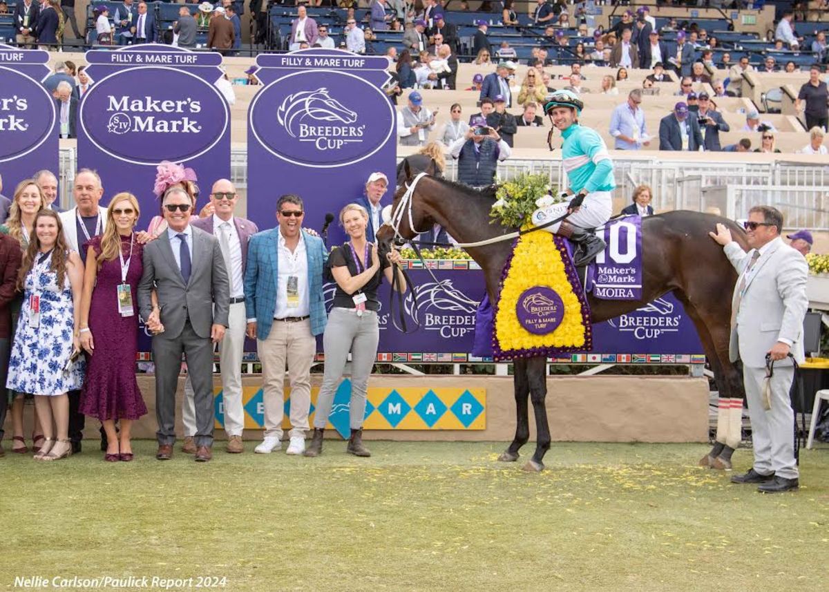 'These Are The Things You Dream About As A Kid': Moira's Third Try The ...