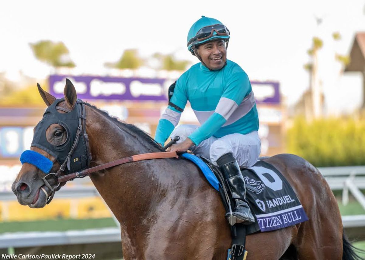 Bloodlines Presented By Walmac Farm: Into Mischief, Distorted Humor ...