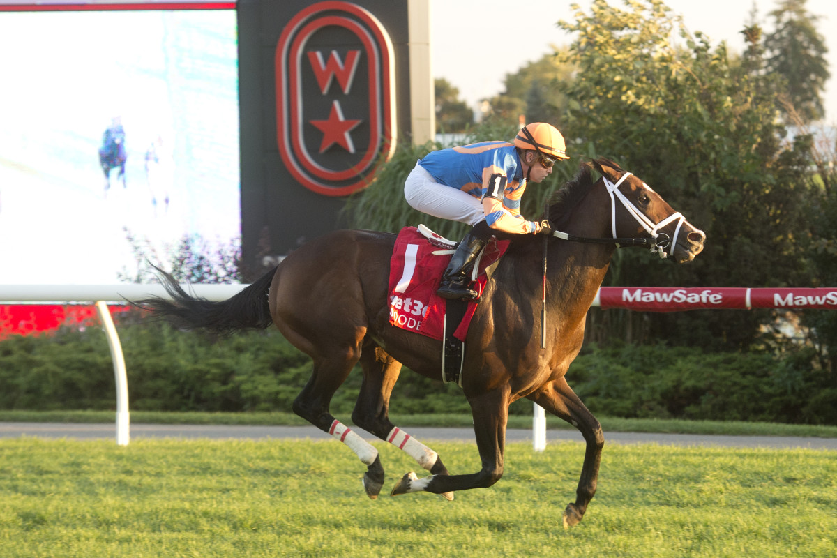 Kevin Attard, Mike Repole Double-Handed In Tough Autumn Stakes ...