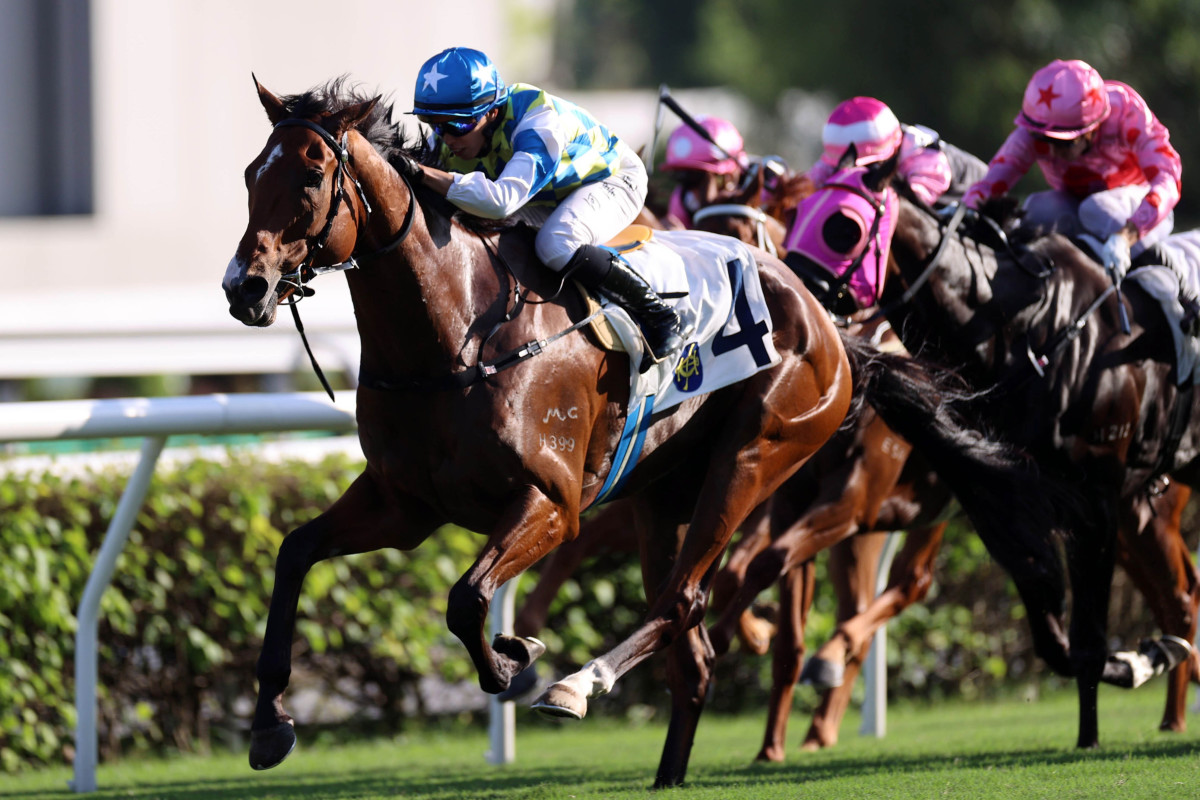 Hong Kong Racing Insights: Rising Stars About To Take Center Stage ...