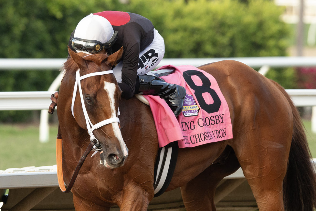 The Chosen Vron Leads California's 2024 Divisional Champions - Paulick ...