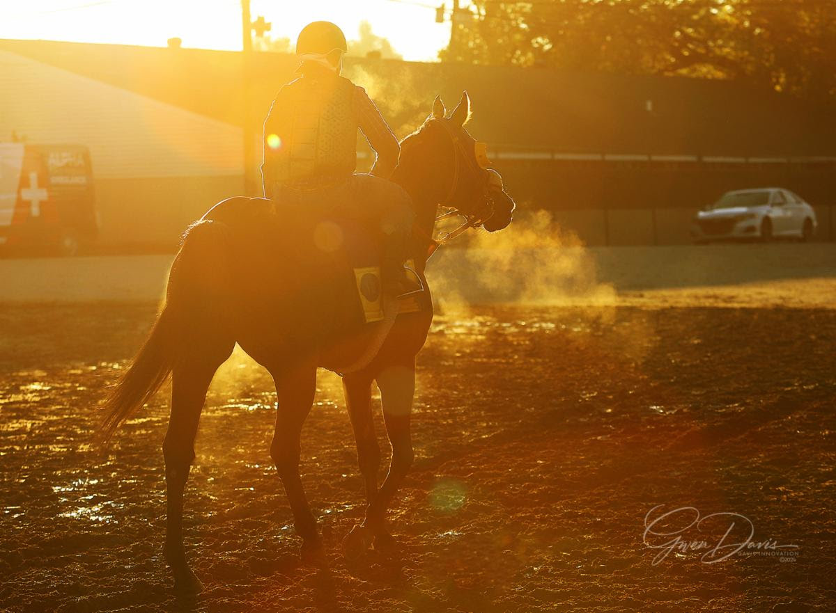 Claiming Crown: Eight Full Fields Of Valuable Horses - No Matter What ...