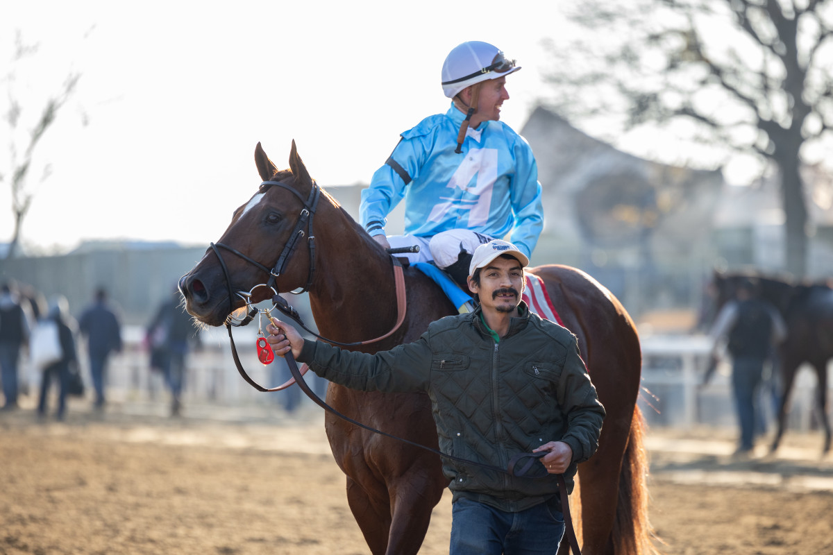 'It's A Big Step Up': Dylan Davis Continues Career-Best Year With Stakes Double - Paulick Report ...