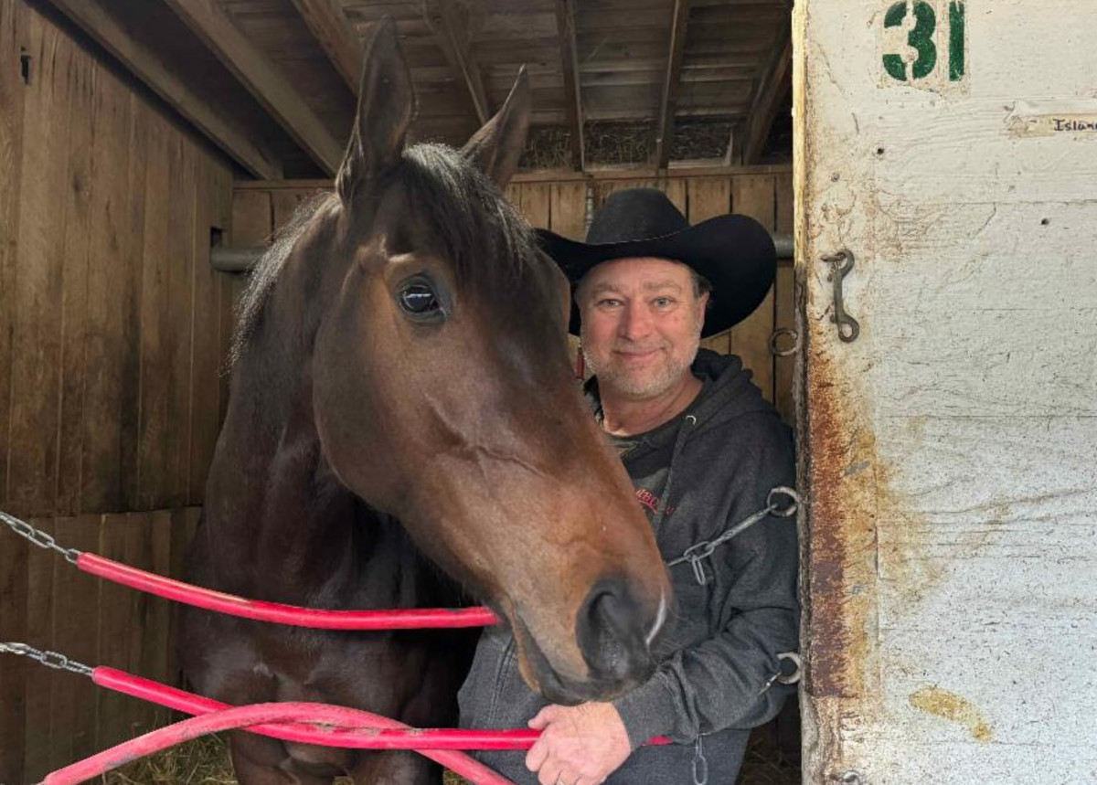 'I Know She’s Not Seabiscuit, But She Is To Us': Winningest Horse Of ...