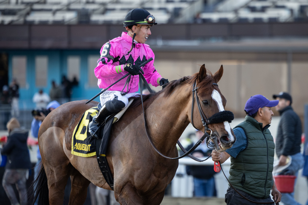 'He's Still Got A Bright Future': California Chrome Gelding Alogon ...