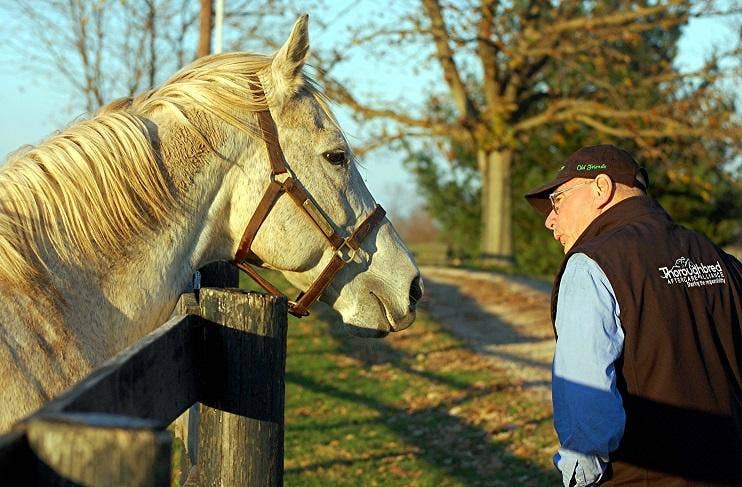 When a Horse's Time Has Come - Call To The Post