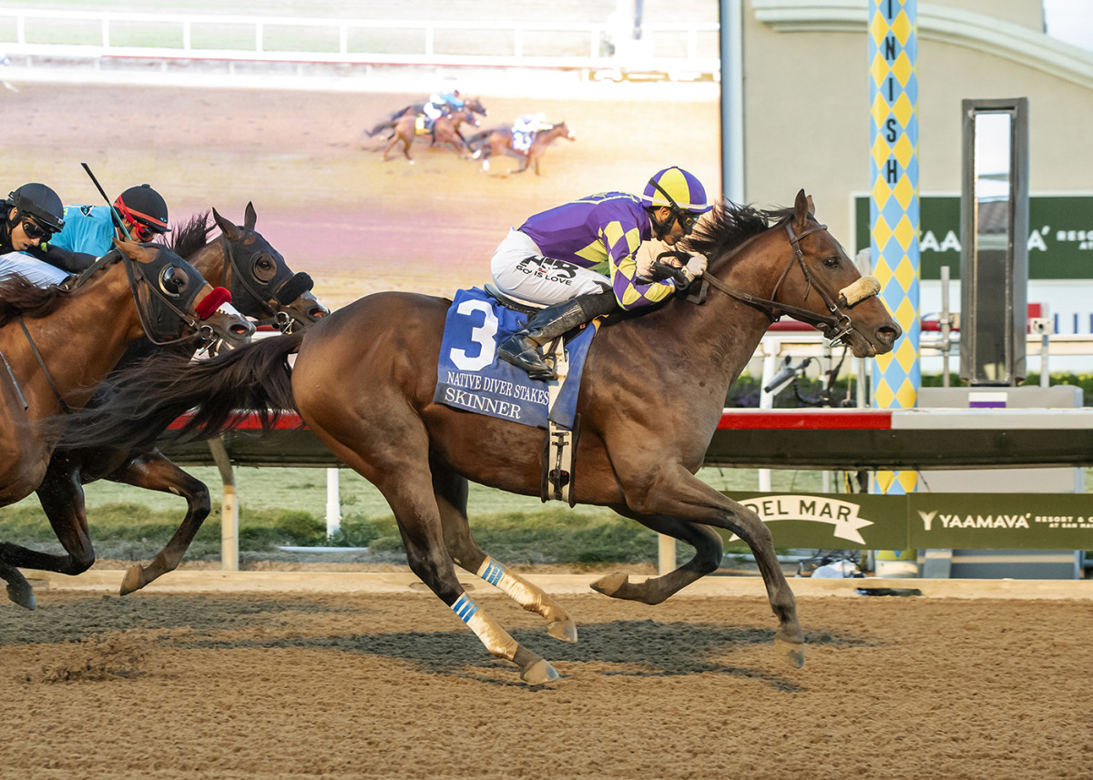 Skinner Gets His Native Diver Win - Paulick Report | Latest news and ...