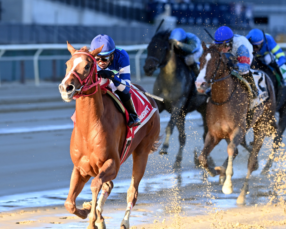 'Super Happy': Golden Rocket Provides Trainer Ilkay Kantarmaci First ...