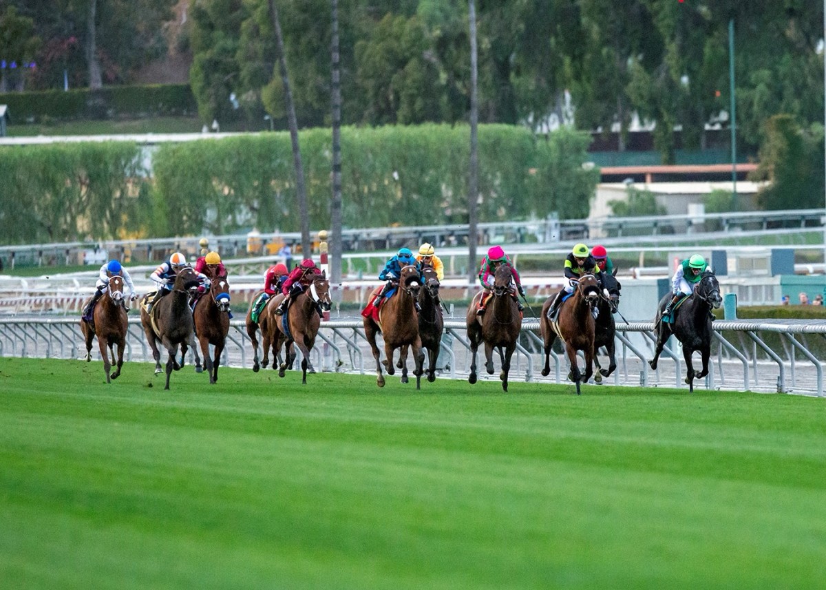 Ship & Win Program Returns For Opening Of Santa Anita Classic Meet Dec ...