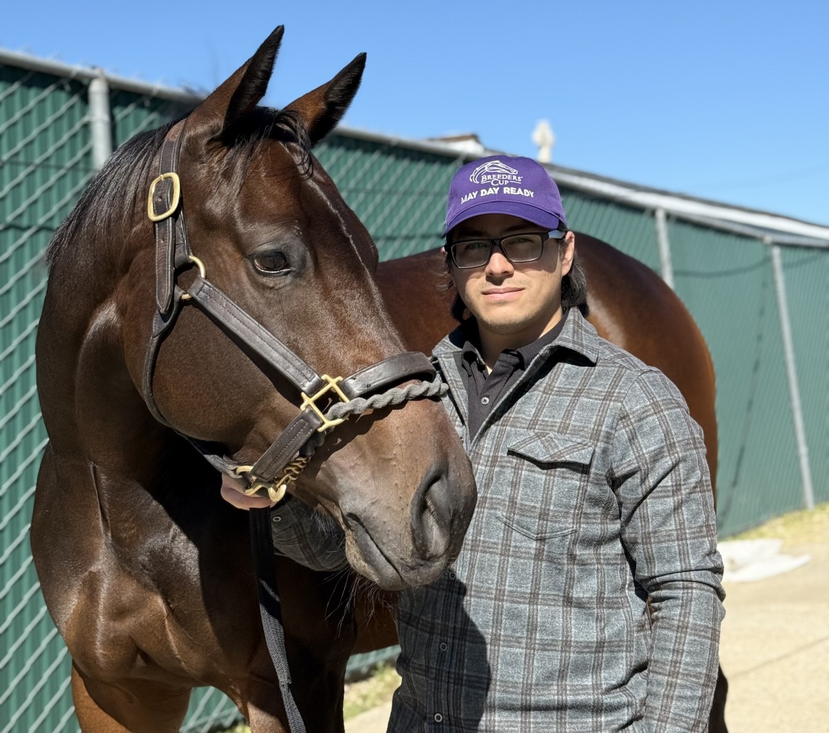 Kirkpatrick & Co. Presents In Their Care: Small Family Stable Has Big ...