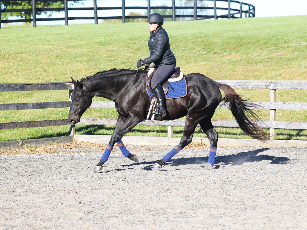 OTTB Training Toolkit Presented By Doc Lane's Pharmacy: Creating 'Aha ...