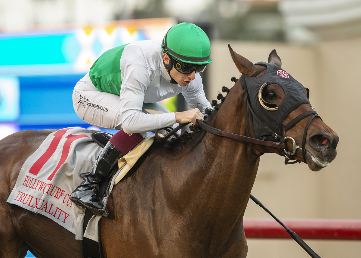 Bloodlines Presented By Walmac Farm: A Bountiful Thanksgiving Holiday ...