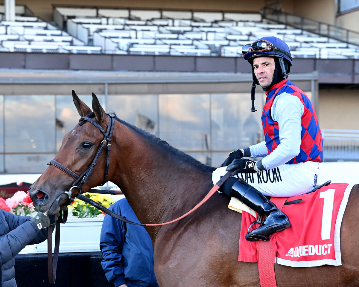 'Credit To The Winner': Regally Bred Pretty Ana Sets Pace, Gamely Prevails In Comely - Paulick ...