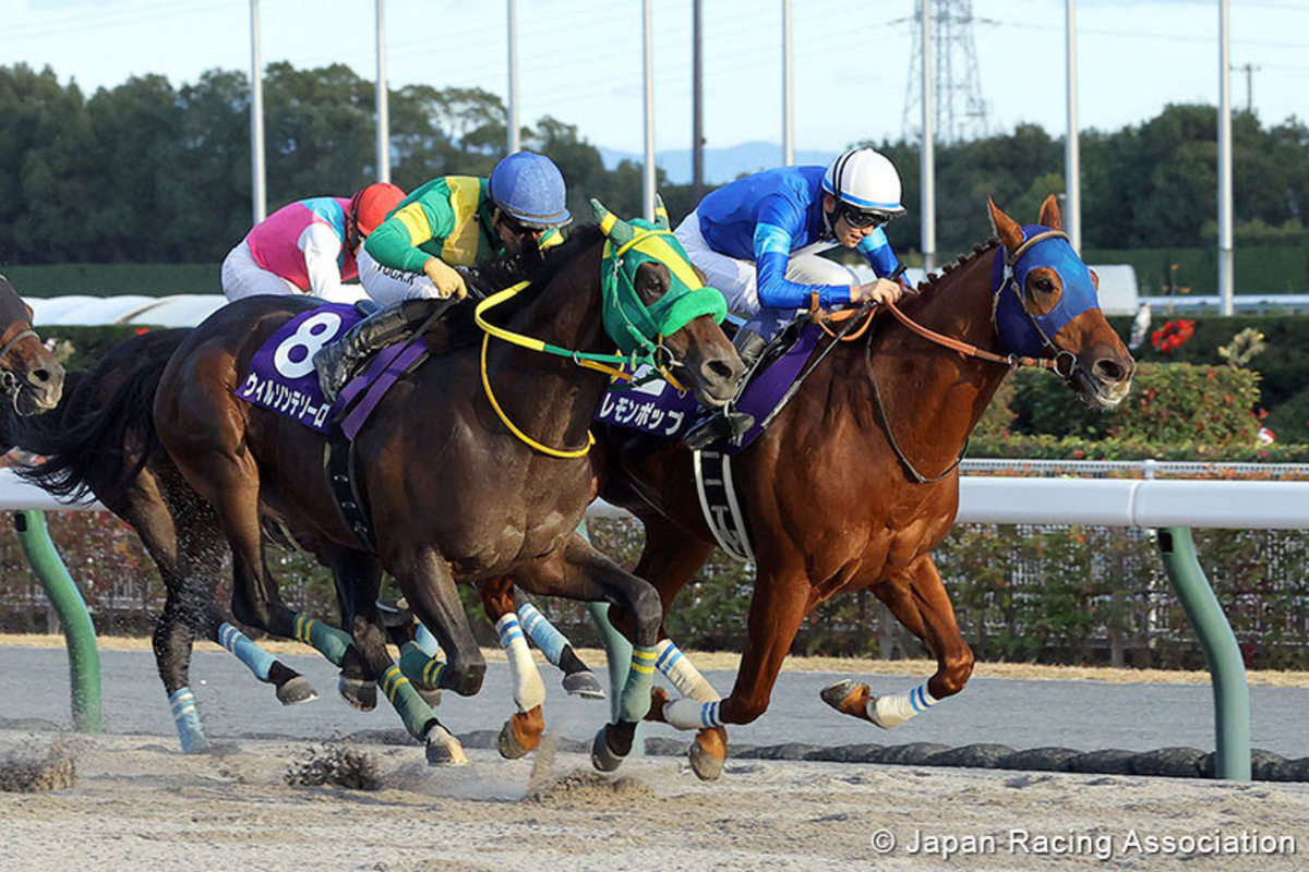 Lemon Pop Concludes Stellar Career With Champions Cup Repeat - Paulick ...