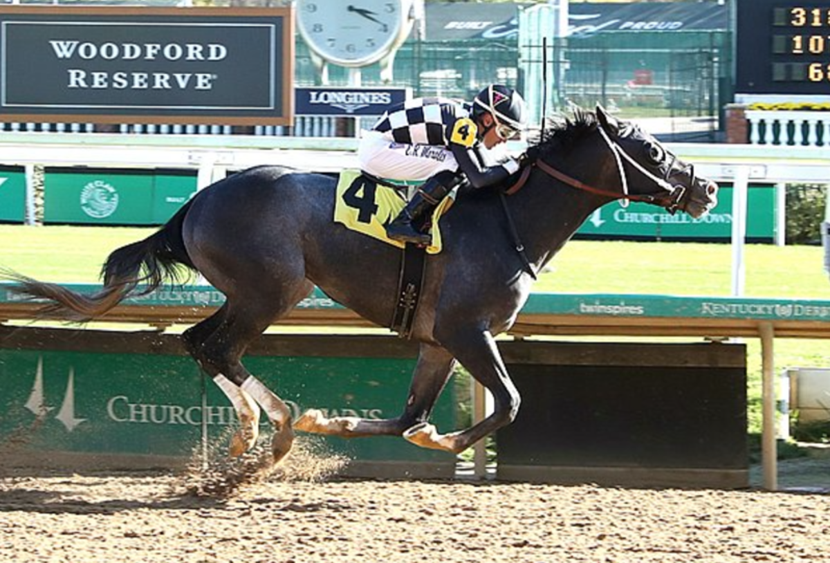 Shipper Speed King Takes On Local Heros Jolly Samurai, Mister Omaha In ...