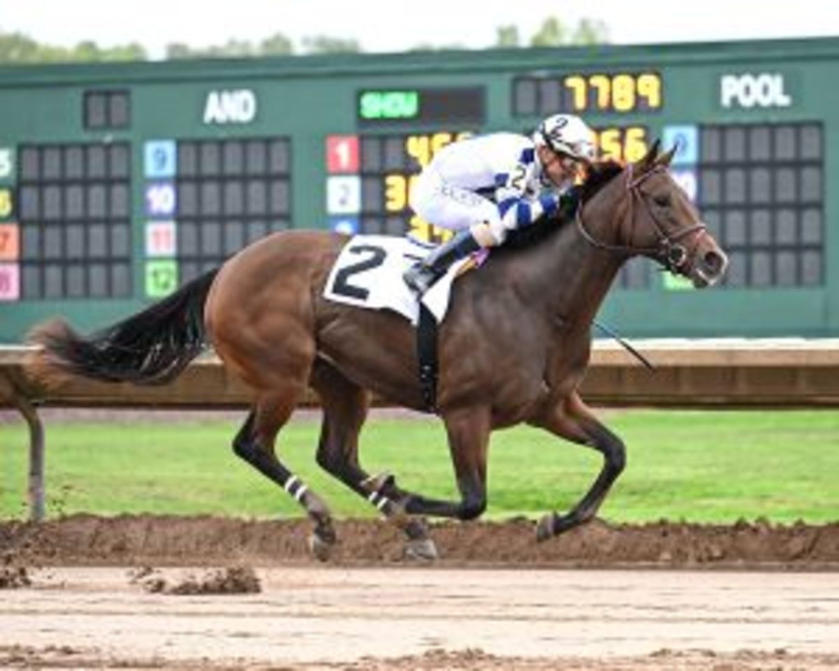 Stone Smuggler Has 'Good Shot' To Rebound In NYSS Fifth Avenue ...