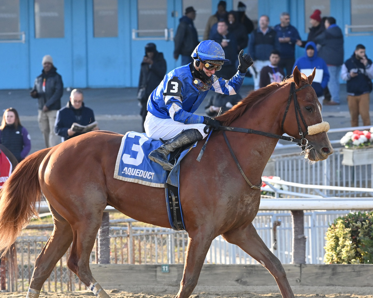 Remsen Winner Poster Could Return To New York For Withers - Paulick ...