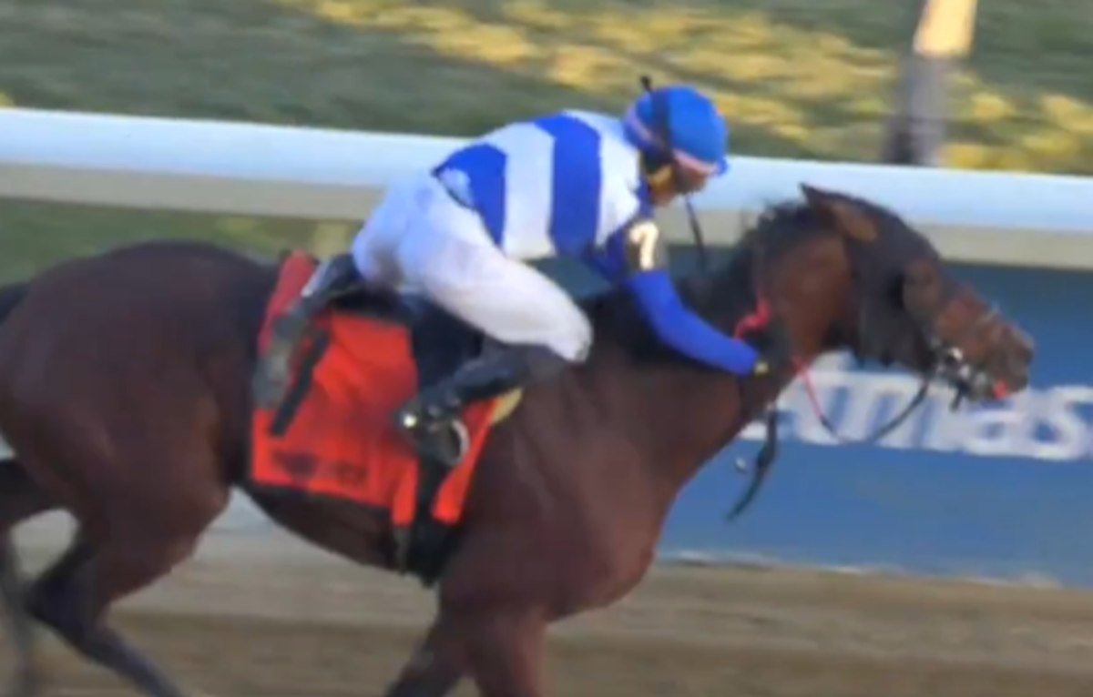 'Never A Dull Moment': Romero Maragh Clings To Victory At Aqueduct ...