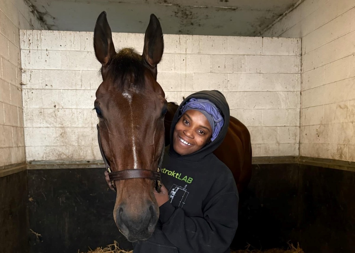 'He's Been An Absolute Star': Ron's Gizmo Hoping For First Stakes Win ...