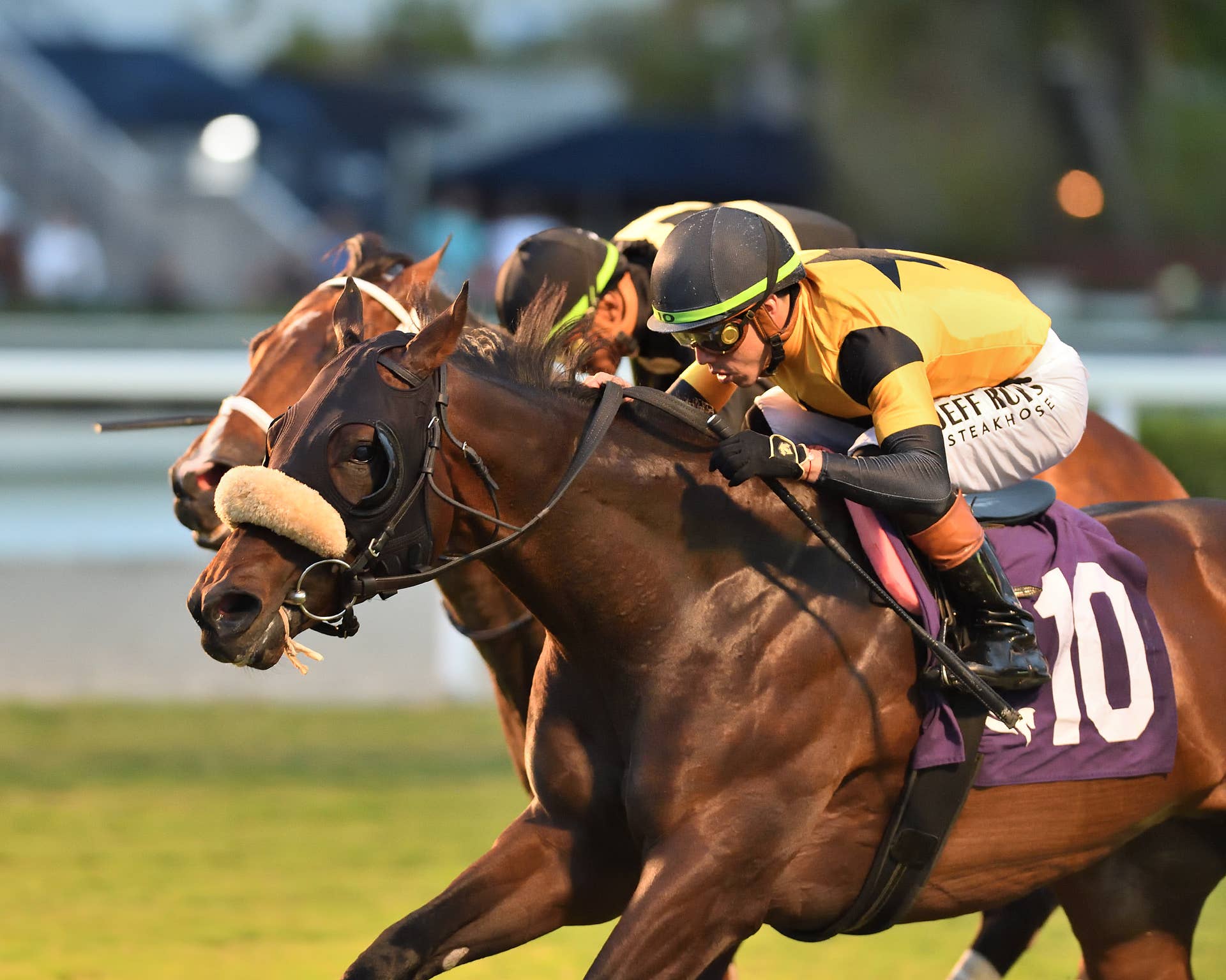 Irad Ortiz Jr. Caps Five-Win Day Aboard Cugino In Tropical Park Derby ...