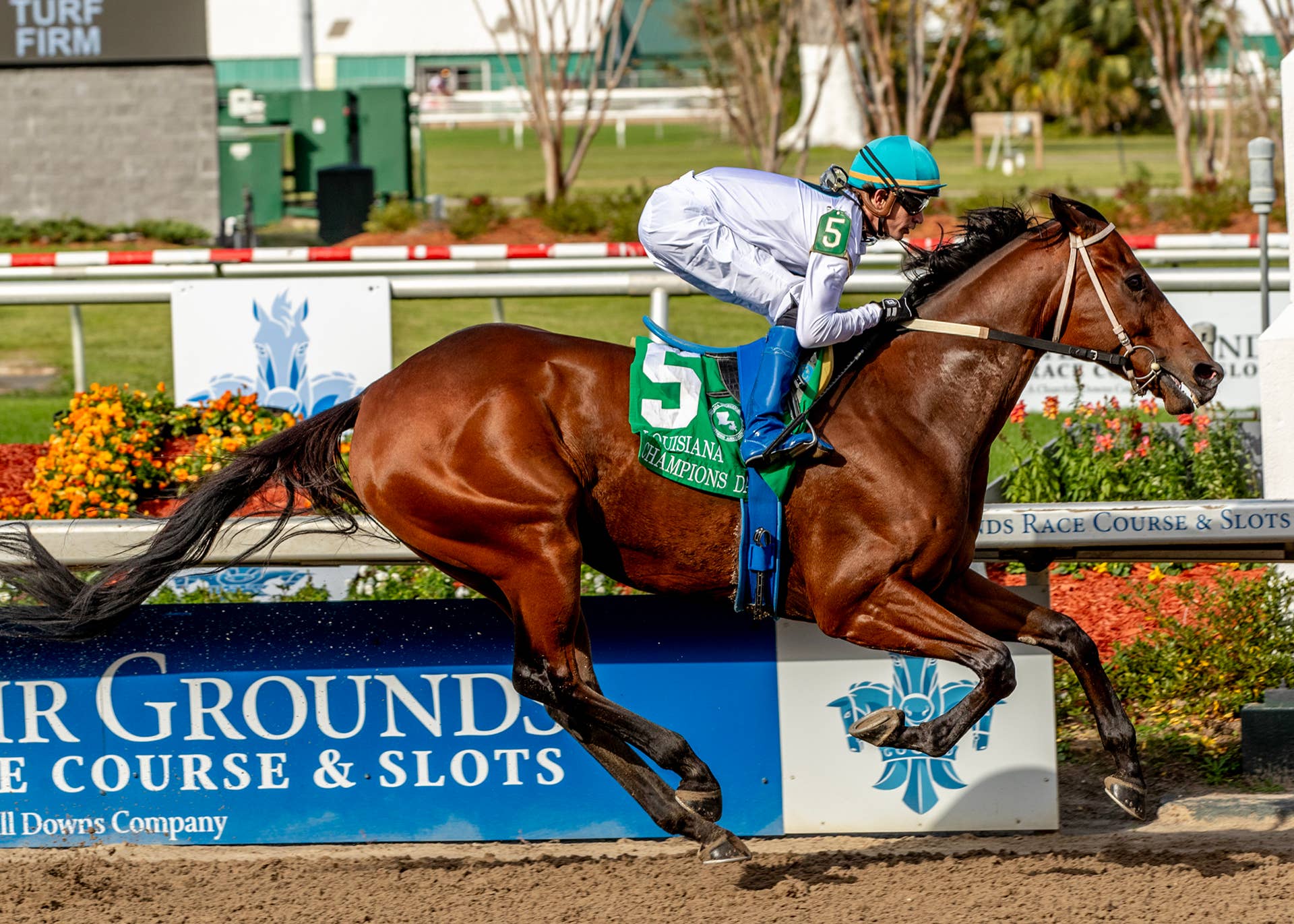 Touchuponastar Headlines Delta Downs' Louisiana Premier Night - Paulick ...