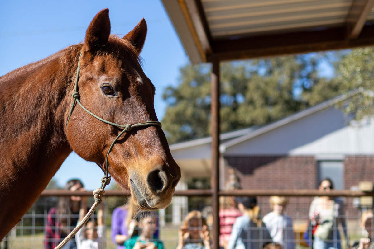 Racetrack To Classroom: LOPE’s Warhorses Help 300 Students Learn STEM ...