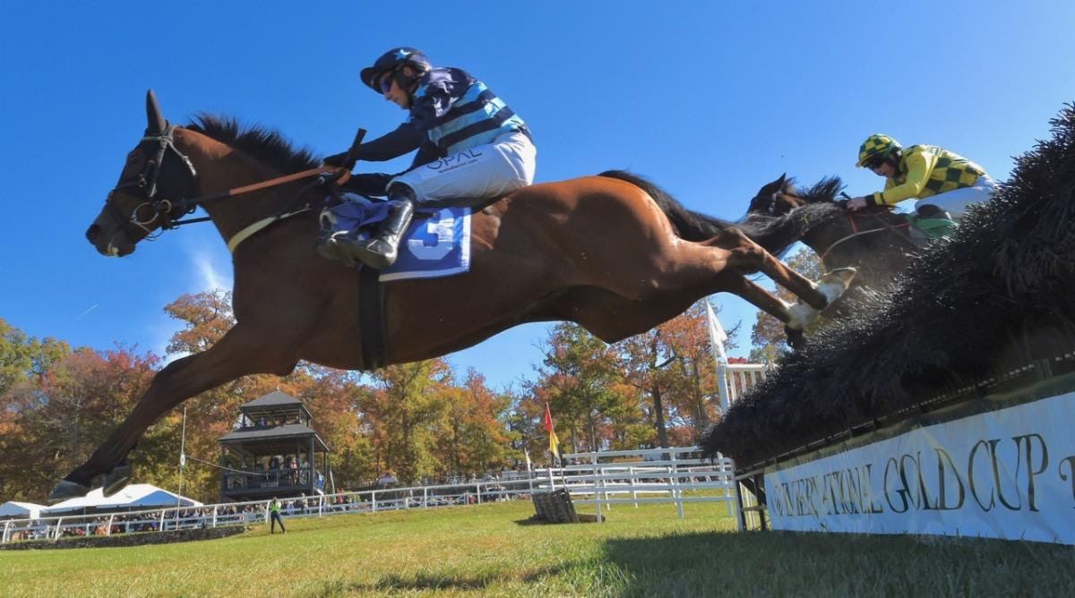 'Very Excited About The Future': U.S. Steeplechase Plots Expanded ...