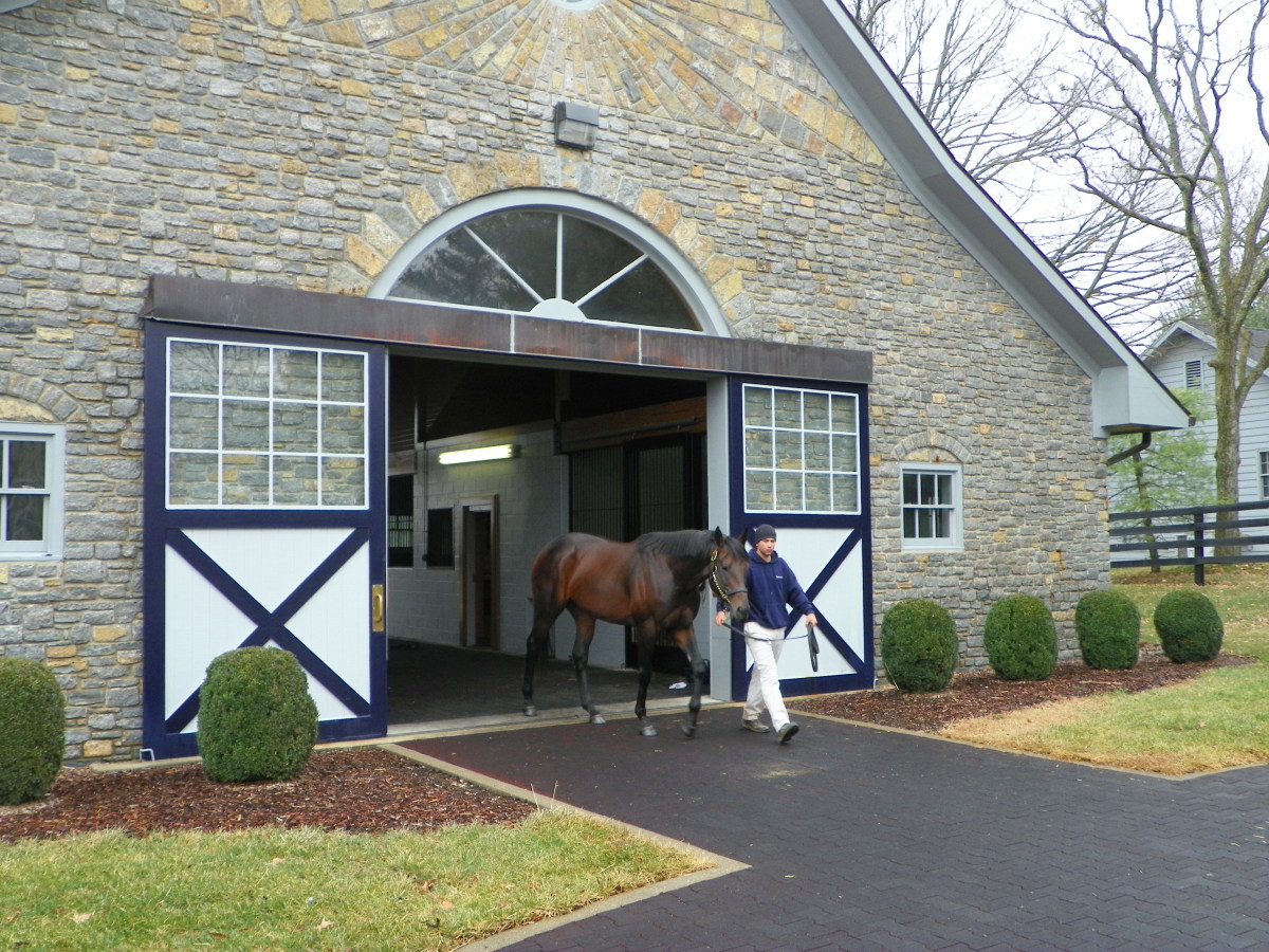 Making Claims: Memories Of Uncle Mo, And Being Grateful For The Little ...