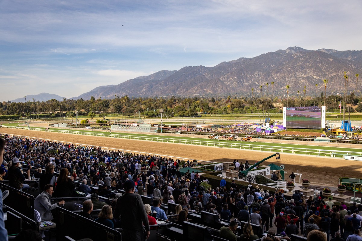 Santa Anita Meet Opens With Computer-Assisted Wagering Players ...