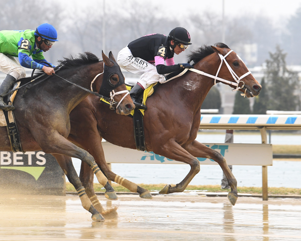 Game Maximus Meridius Earns First Stakes Win In Gravesend - Paulick ...