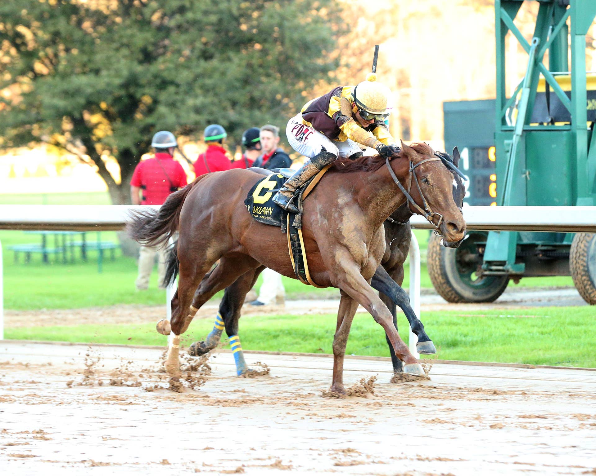 Owner John Ed Anthony Nearing Oaklawn Record For Stakes Wins - Paulick ...